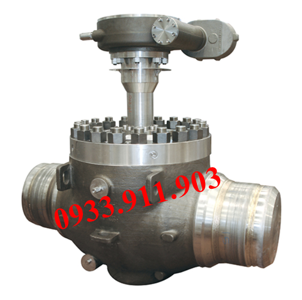 VALBART Van Bi Flowserve, Flowserve Viet Nam